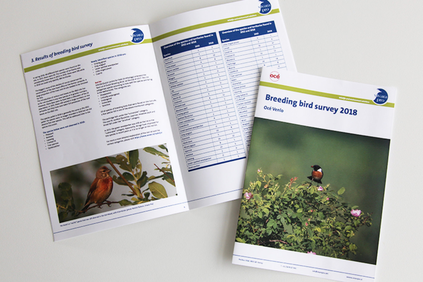 Canon Bird Branch Project | Biodiversity Initiatives | Activities at ...