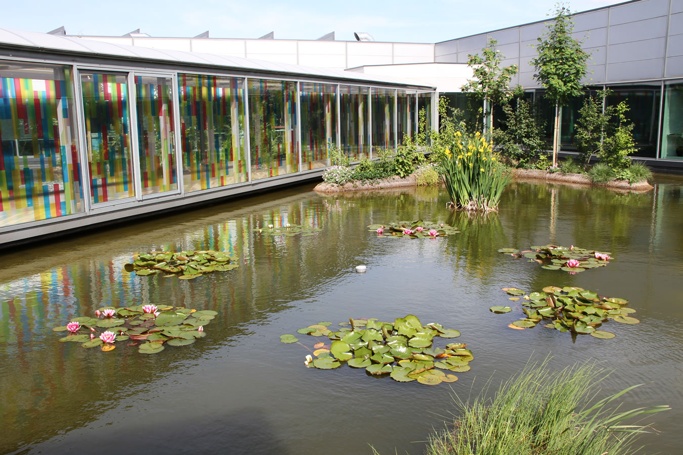 Canon Bird Branch Project | Biodiversity Initiatives | Activities at ...