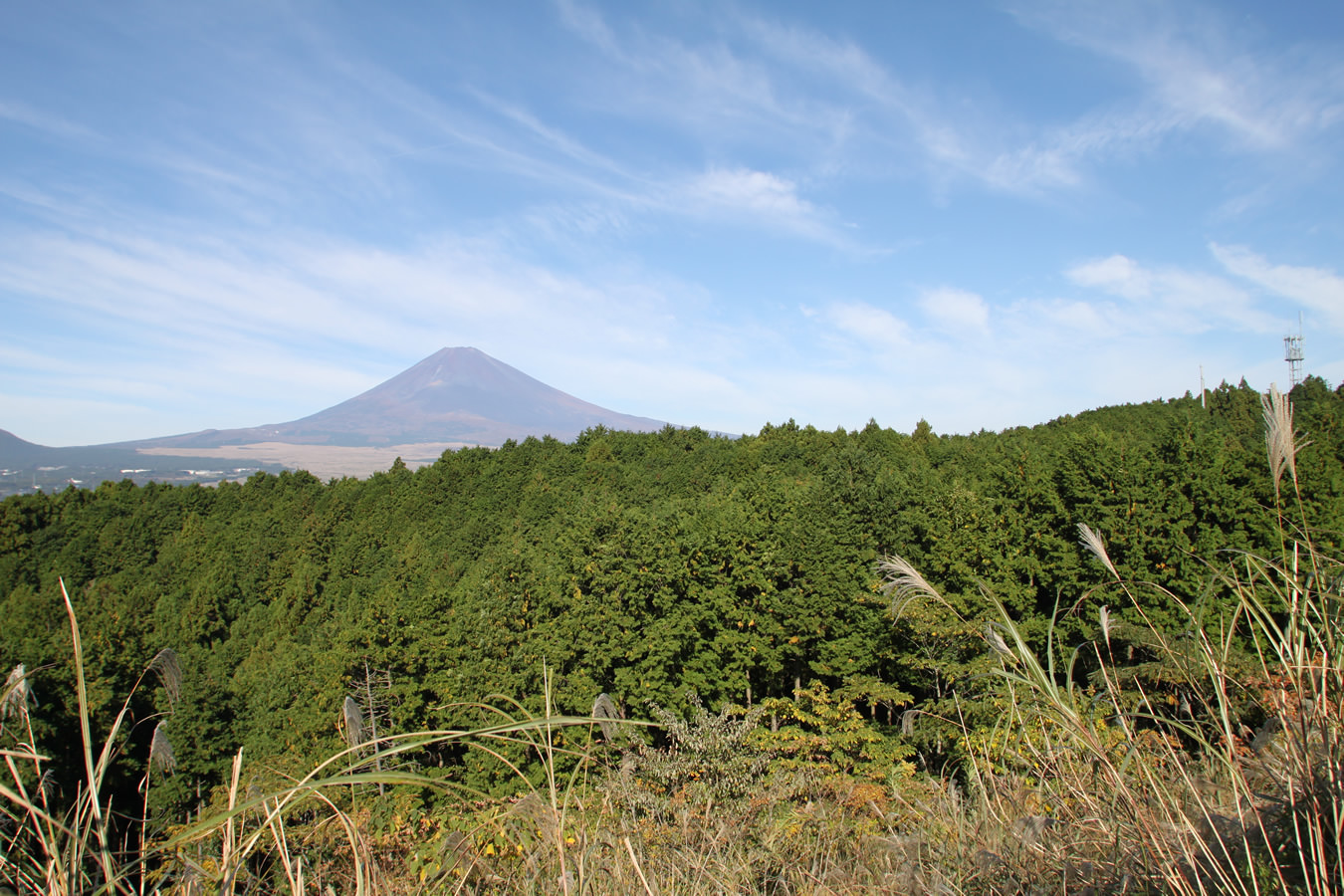 Canon Bird Branch Project | Biodiversity Initiatives | Activities at ...