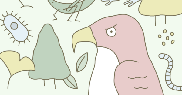 Canon Bird Branch Project | Biodiversity Initiatives | Bird Column ...