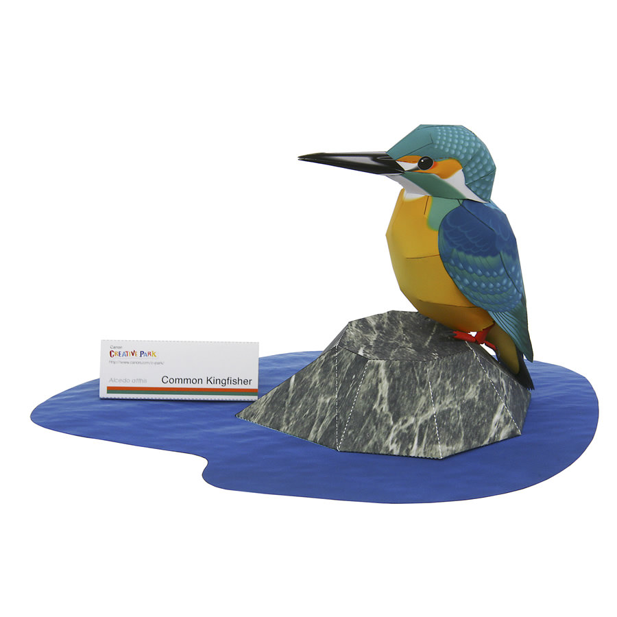 Canon Bird Branch Project | Biodiversity Initiatives | Canon Creative Park