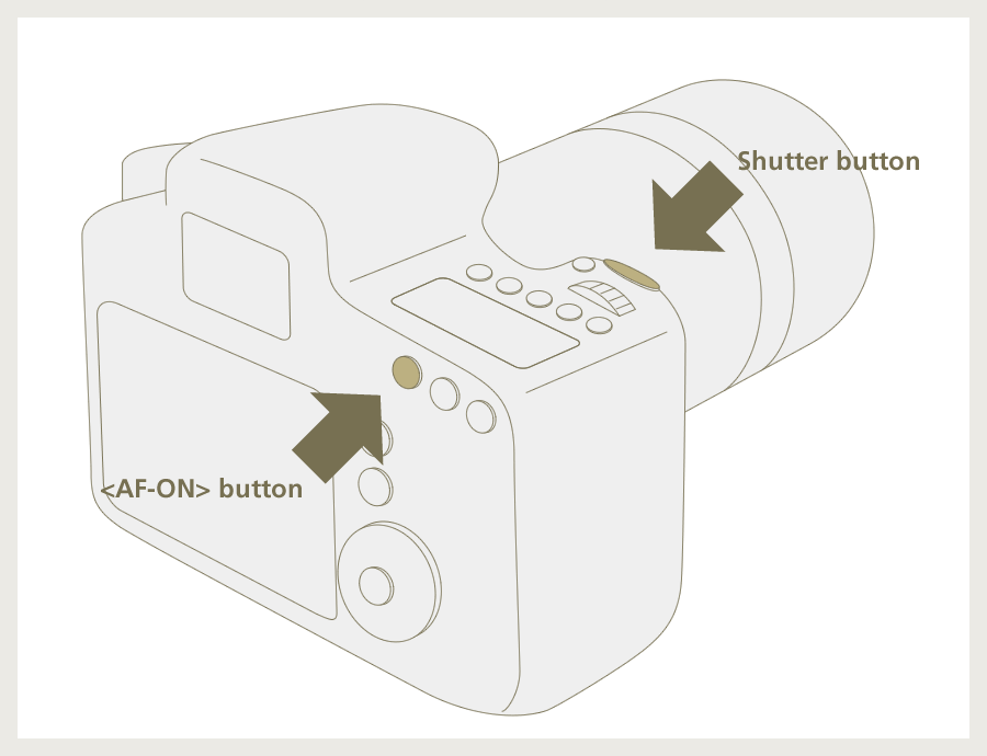 Canon Bird Branch Project | Biodiversity Initiatives | How to ...