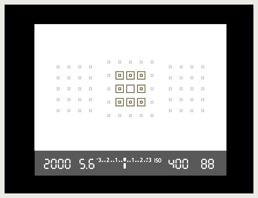 Canon Bird Branch Project | Biodiversity Initiatives | How to ...
