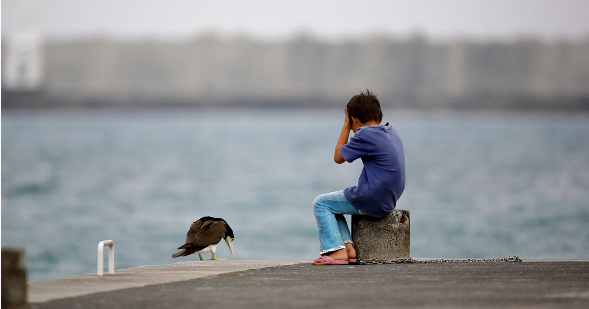 Canon Bird Branch Project | Biodiversity Initiatives | How to ...