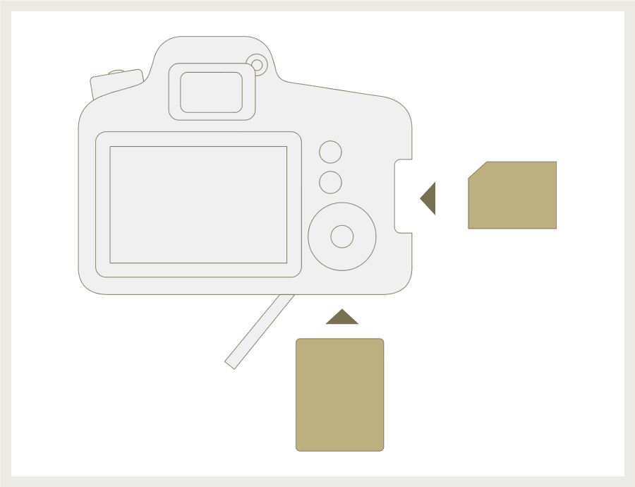 Canon Bird Branch Project | Biodiversity Initiatives | How to ...