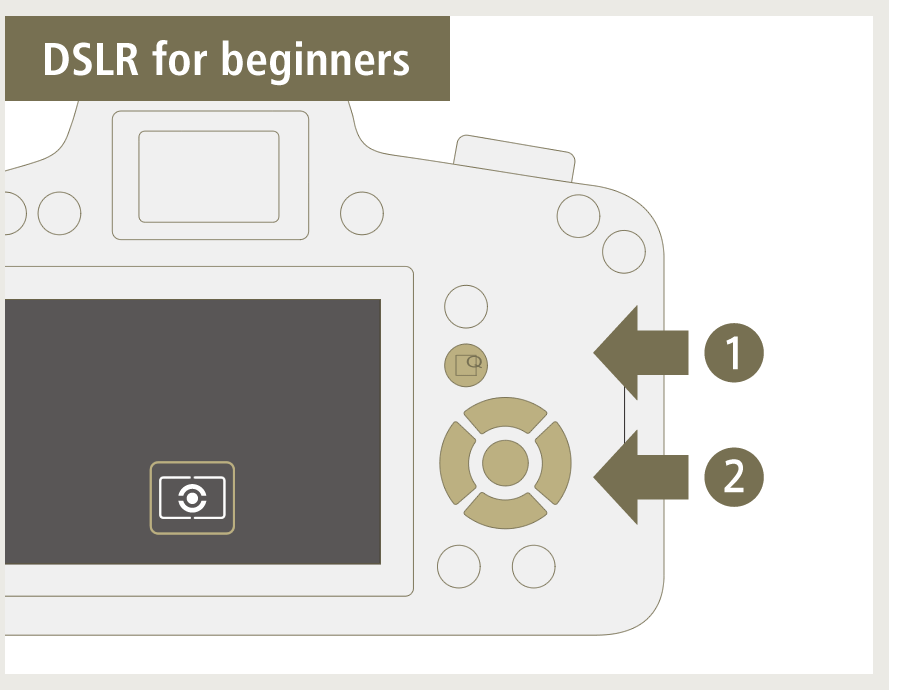 Canon Bird Branch Project | Biodiversity Initiatives | How to ...