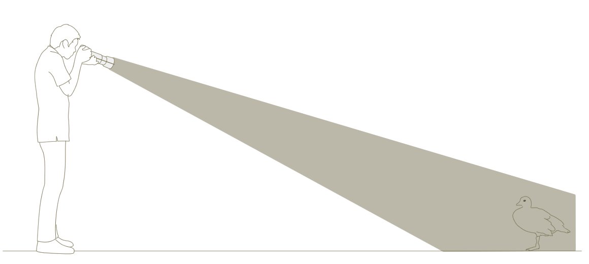 Canon Bird Branch Project | Biodiversity Initiatives | How to ...