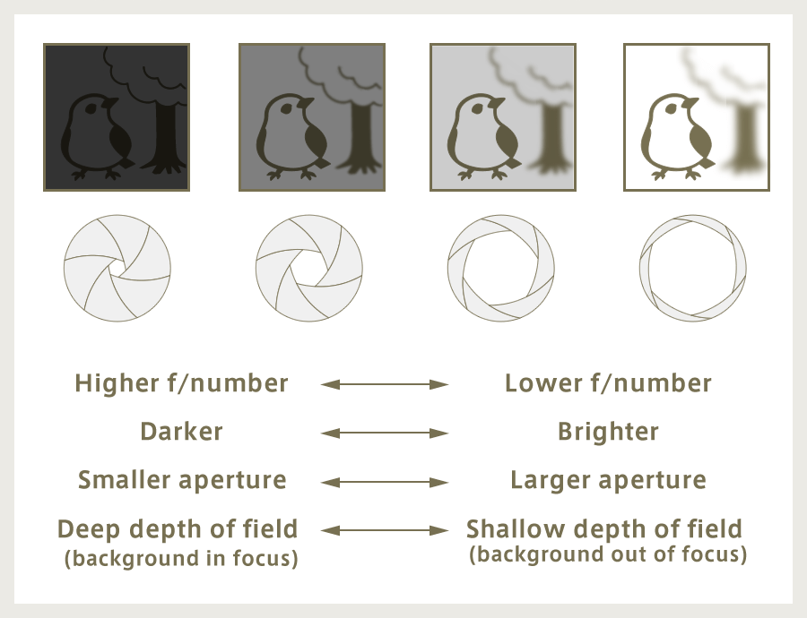Canon Bird Branch Project | Biodiversity Initiatives | How to ...
