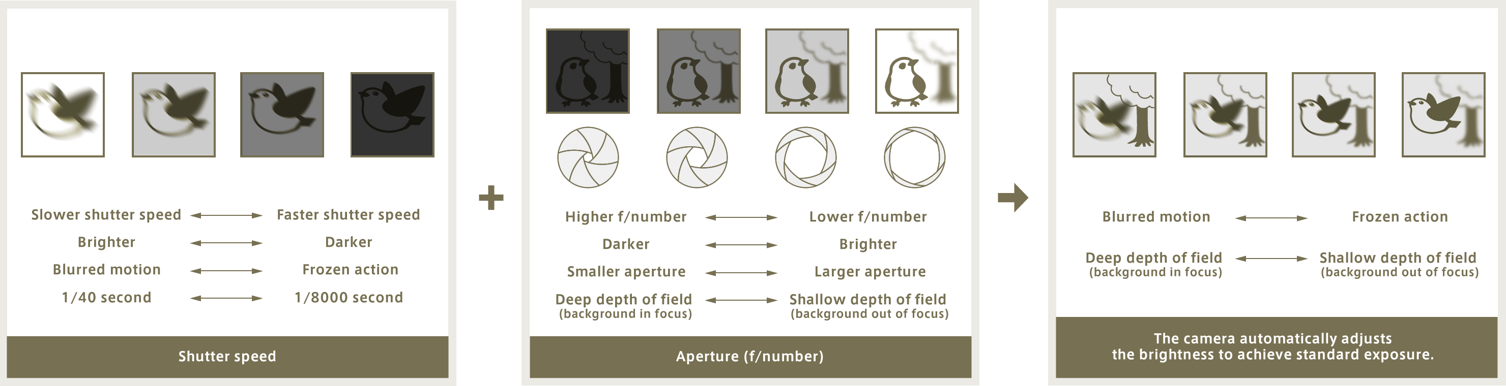 Canon Bird Branch Project | Biodiversity Initiatives | How to ...