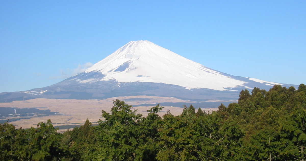 Canon Bird Branch Project | Biodiversity Initiatives | Activities at ...