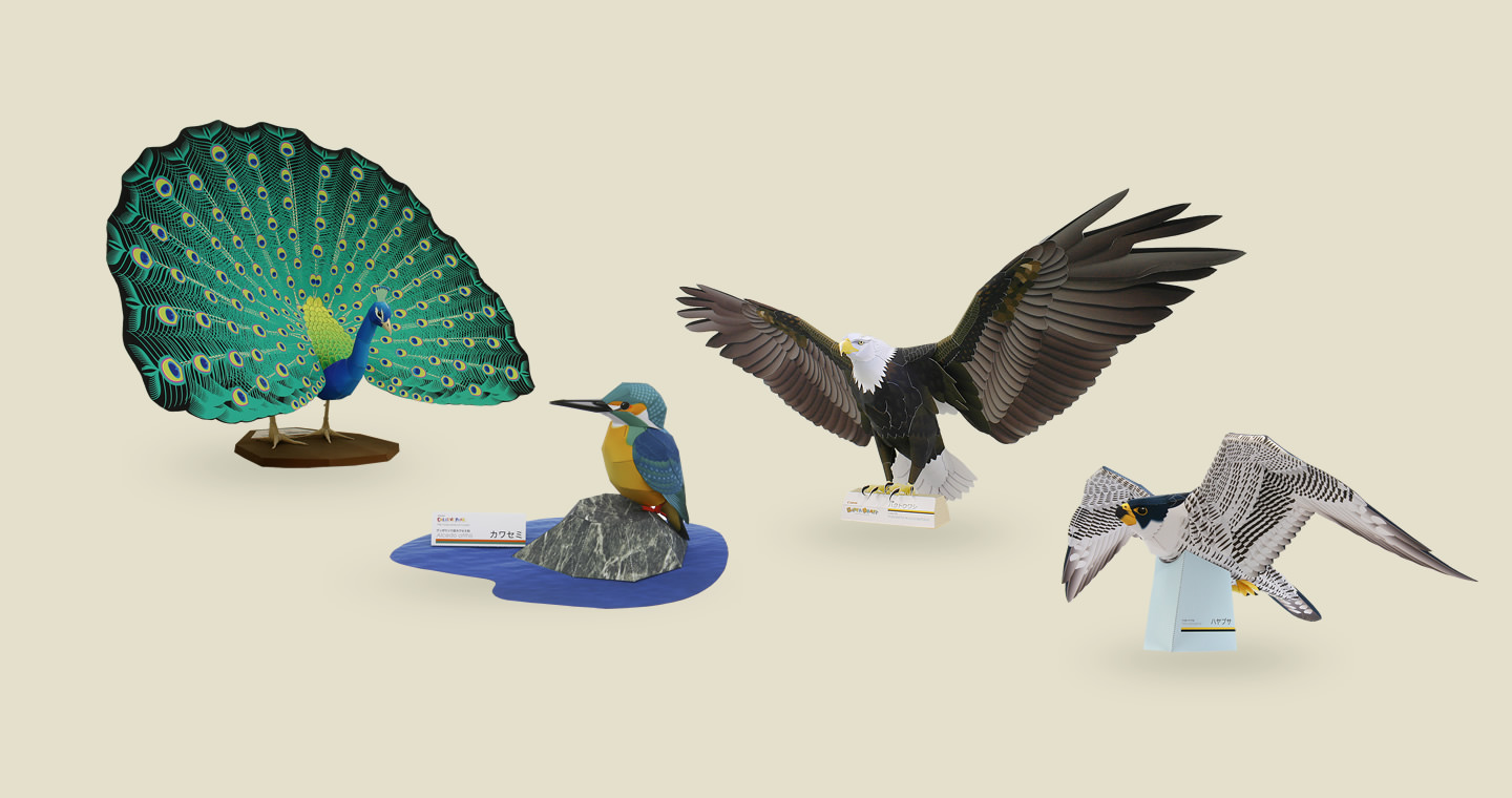 Canon Bird Branch Project | Biodiversity Initiatives | Canon Creative Park