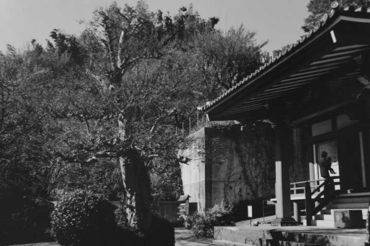 Gallery | New Cosmos of Photography 2014 (the 37th competition) | Canon ...