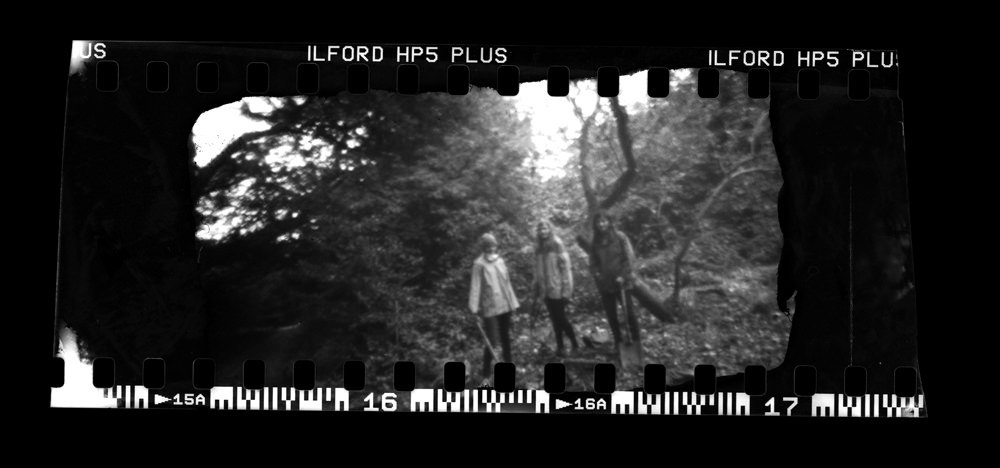 Derek Man “What Do You See, Old Apple Tree?” | 2018 Excellence Award ...