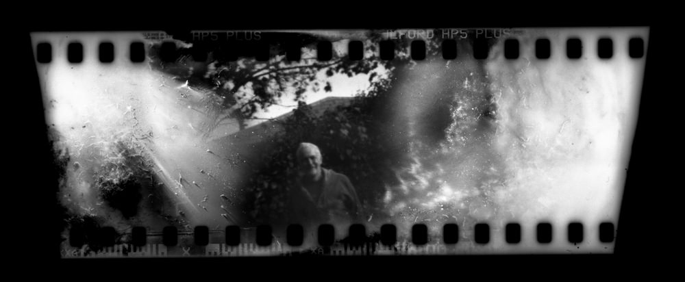 Derek Man “What Do You See, Old Apple Tree?” | 2018 Excellence Award ...