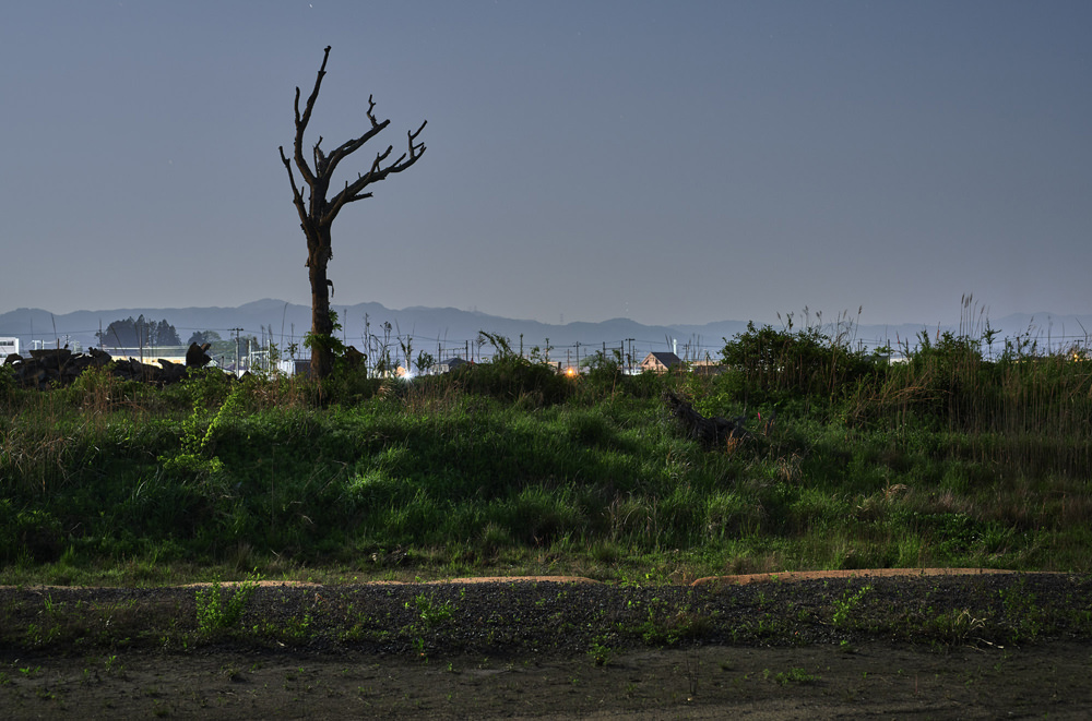 Kyosuke Sasaki “Street View” | 2018 Excellence Award winning work ...