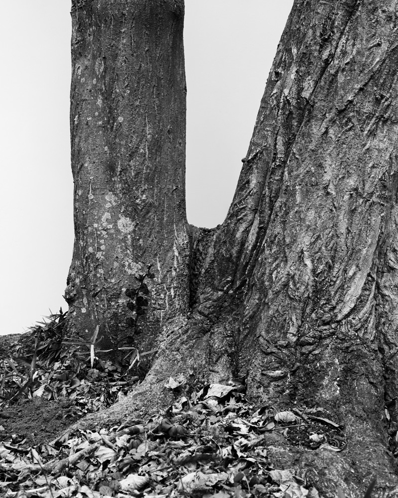 Daichi Koda “background” | 2019 Excellence Award winning work | Canon ...