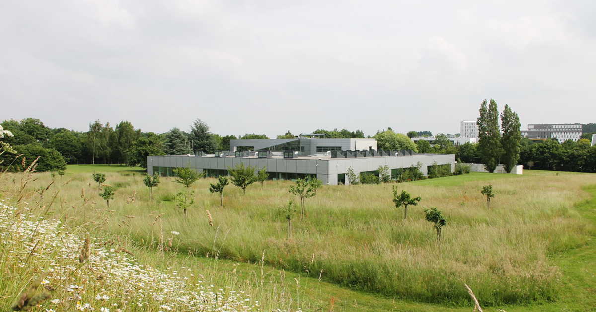 Canon Research Centre France｜事業所の活動｜キヤノンバードブランチプロジェクト